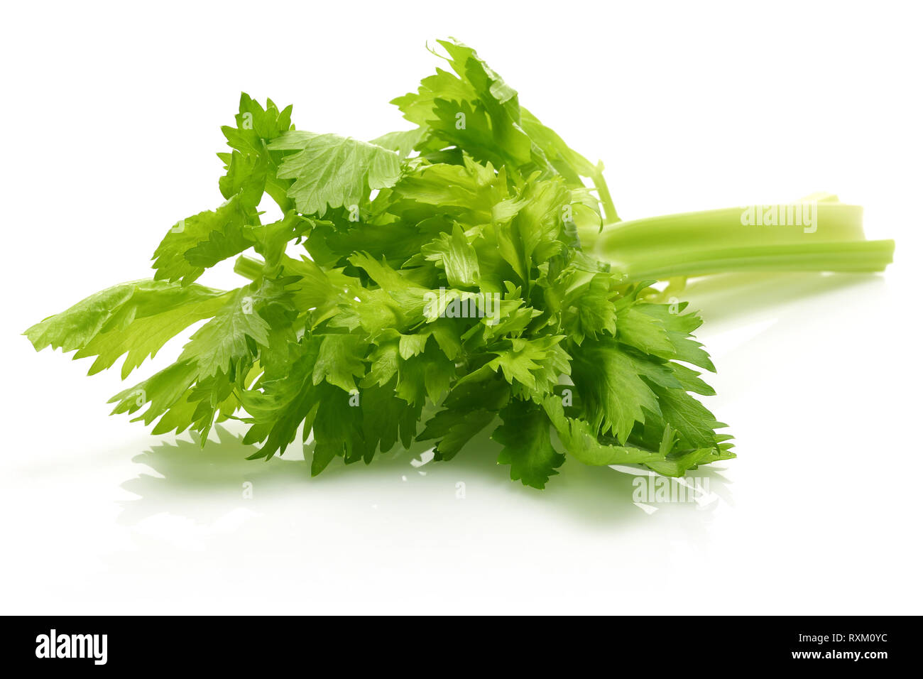 Fresh celery stalks and leaves isolated on white background Stock Photo ...