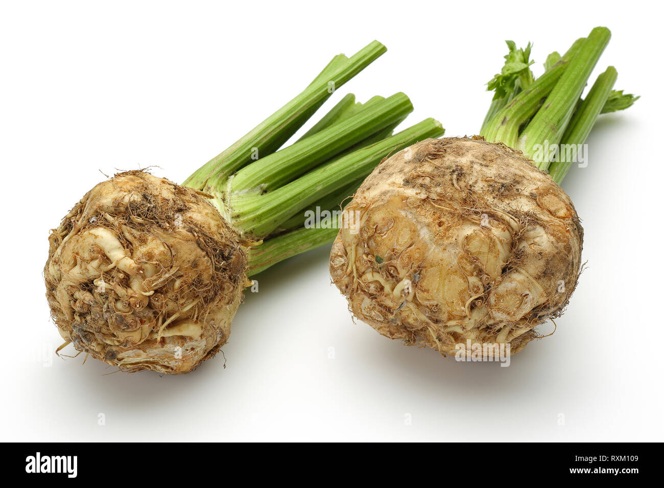 Fresh celeriac root with celery stalks isolated on white background ...