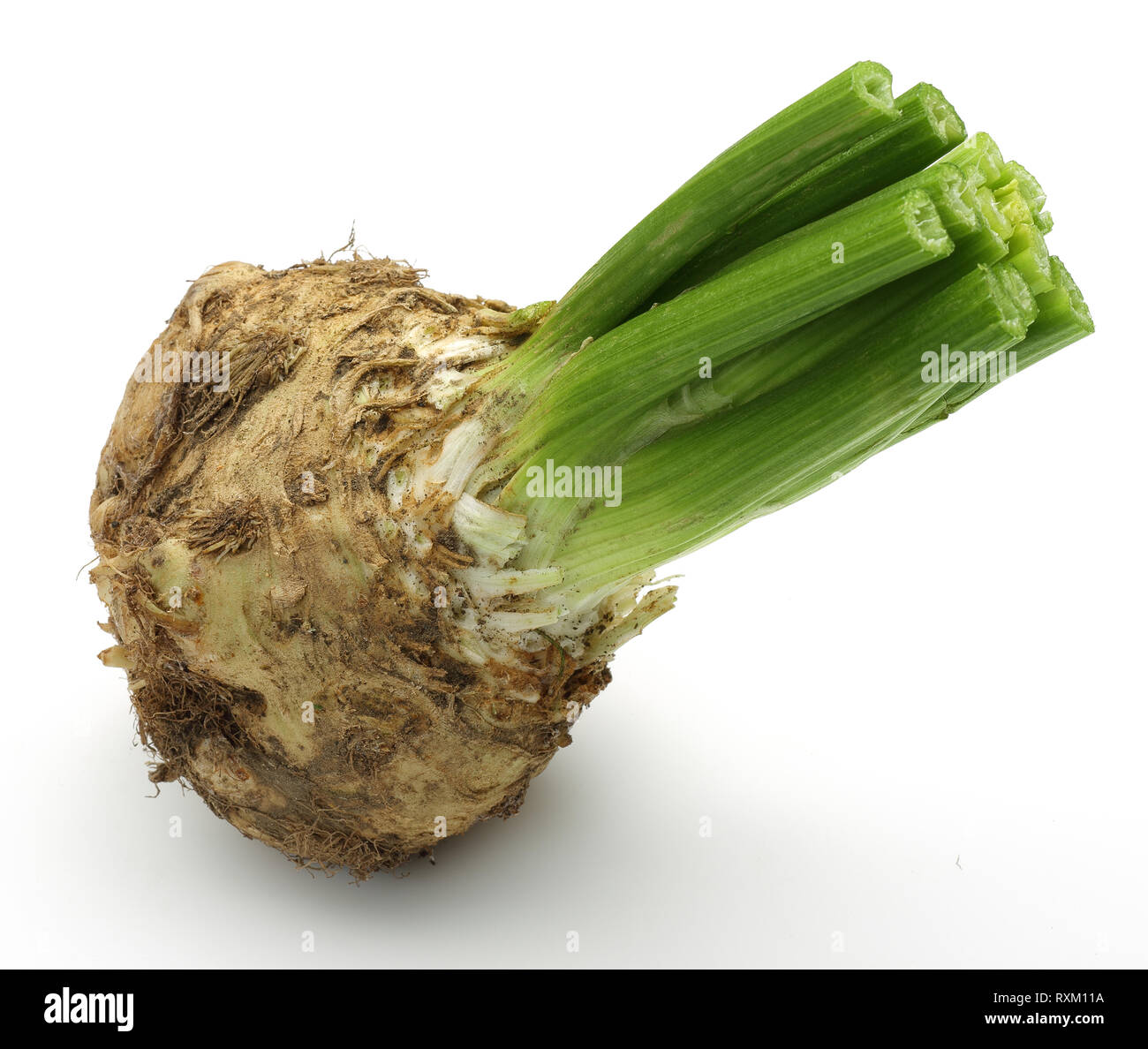 Fresh celeriac root with celery stalks isolated on white background ...