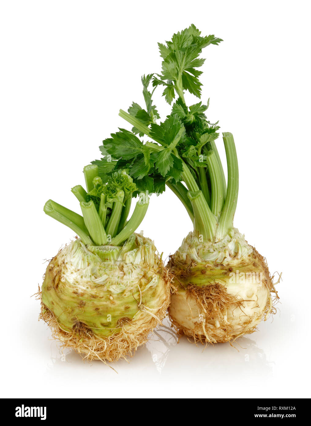 Fresh celeriac root with celery stalks isolated on white background ...