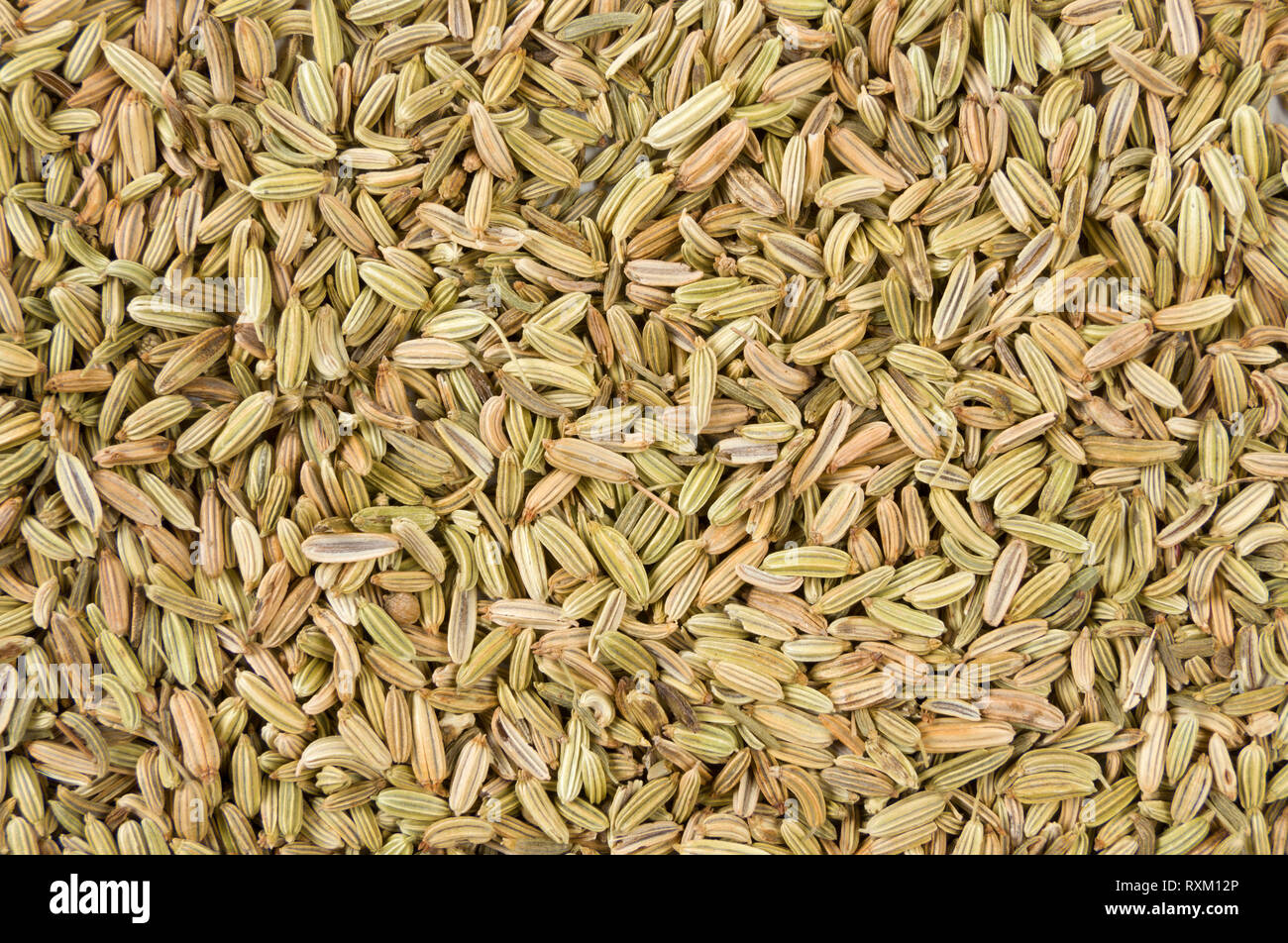 fennel seeds background. Natural seasoning texture. Natural spices and ...
