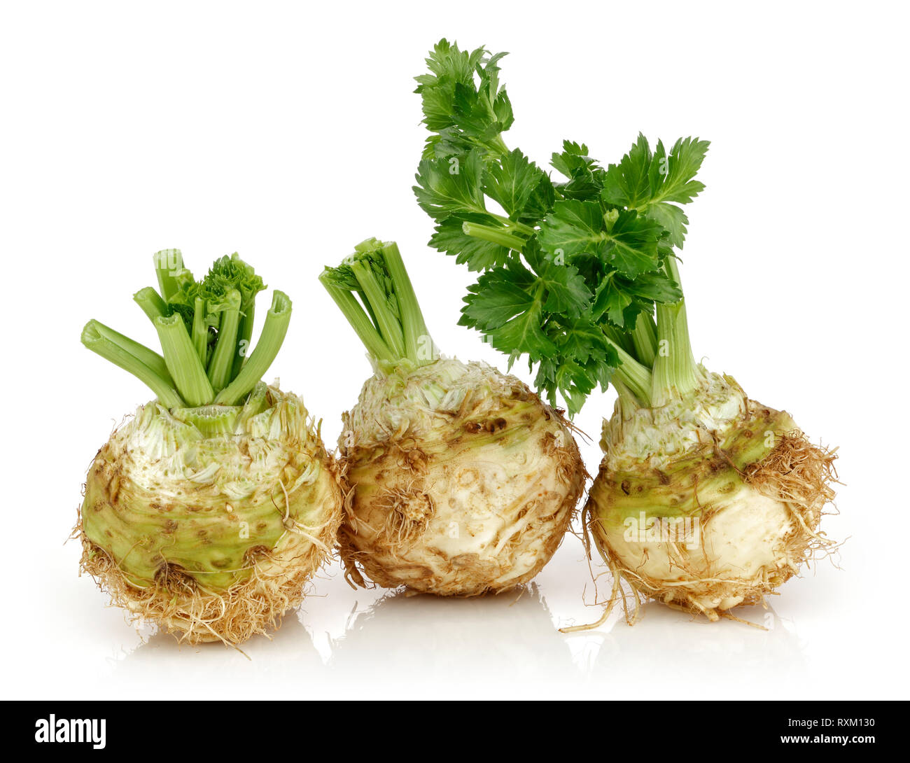 Fresh celeriac root with celery stalks isolated on white background ...