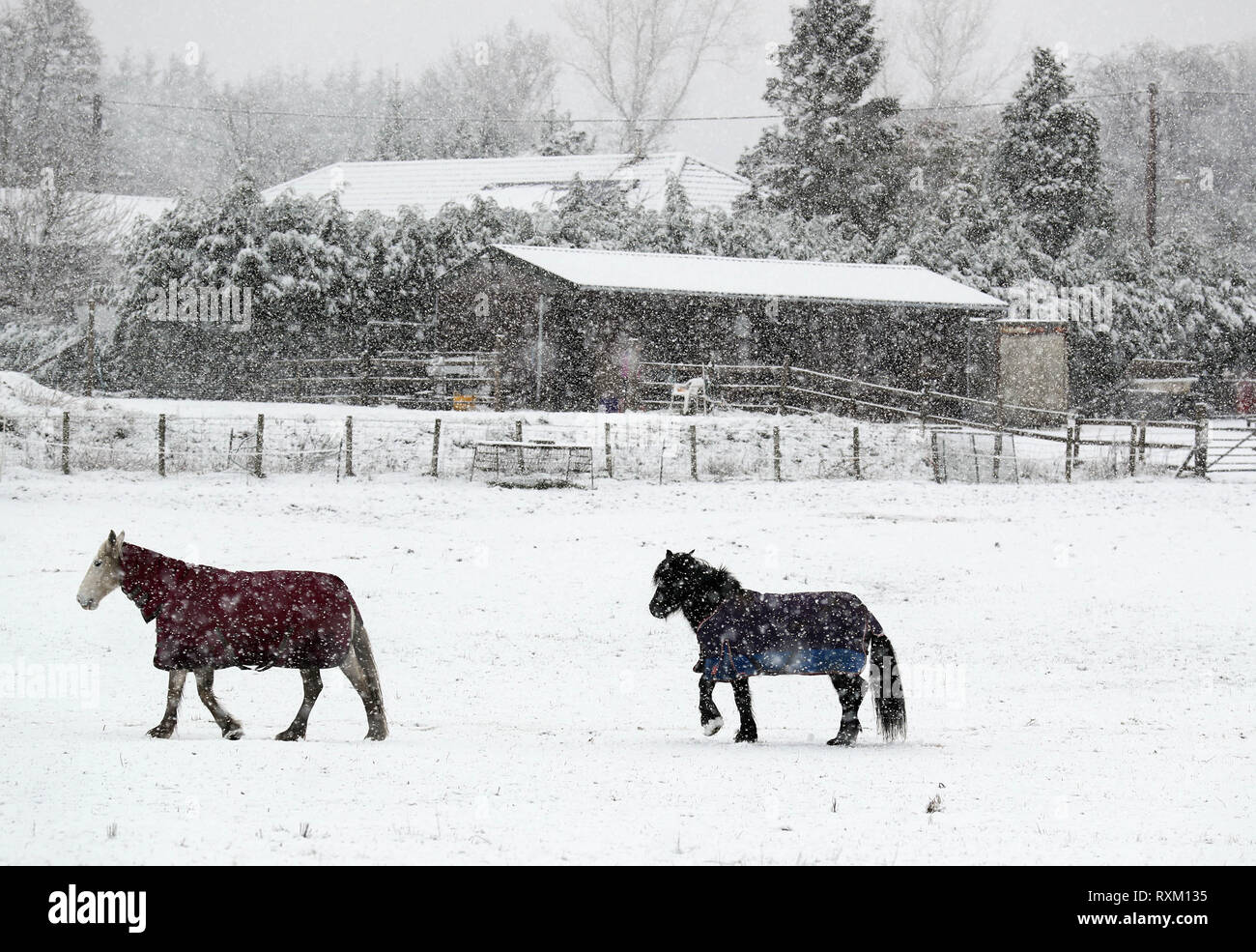 Snowy conditions in Blairingone, Fife, as parts of Britain are waking ...