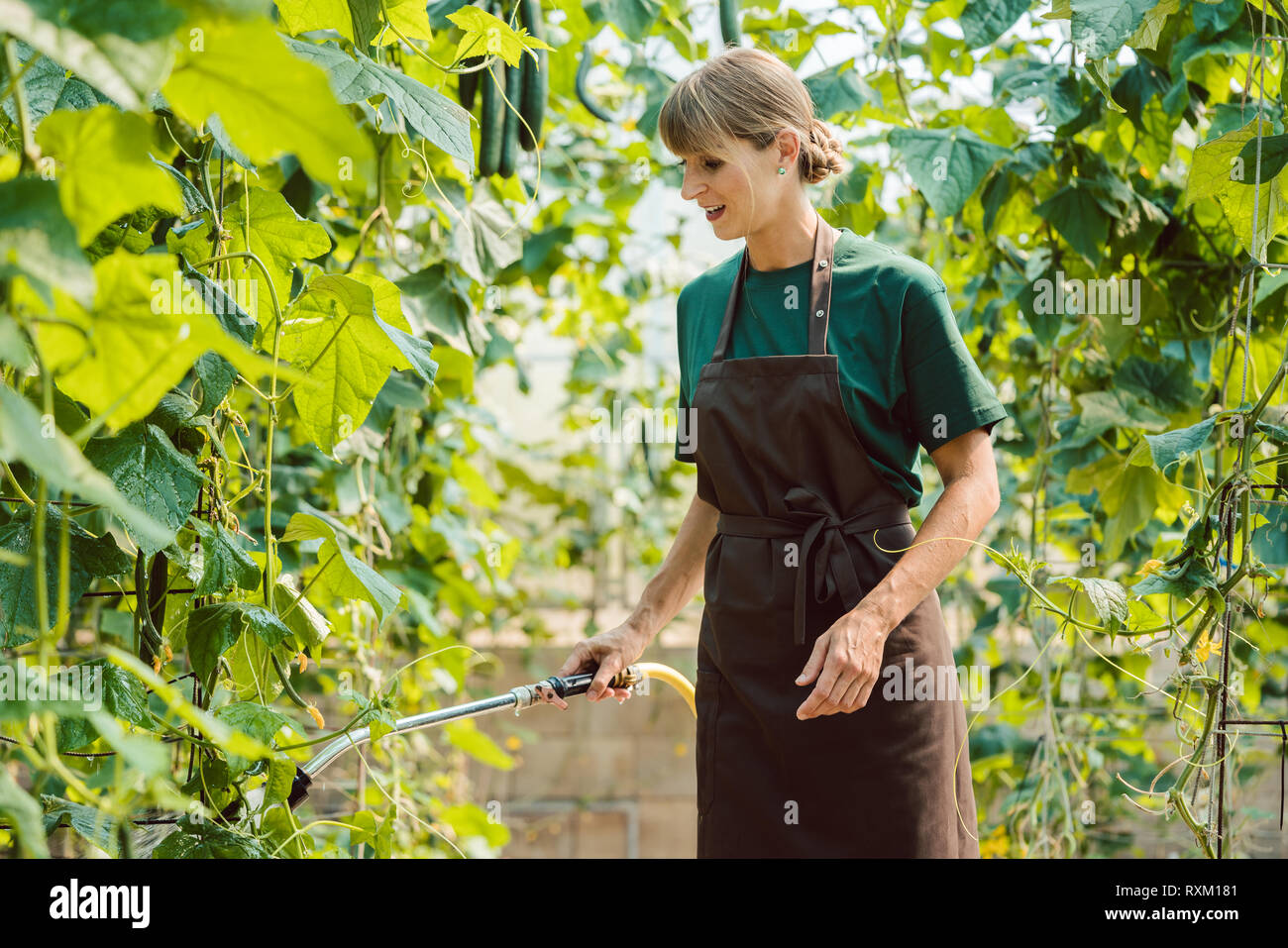 Gardener woman watering bell hi-res stock photography and images - Alamy