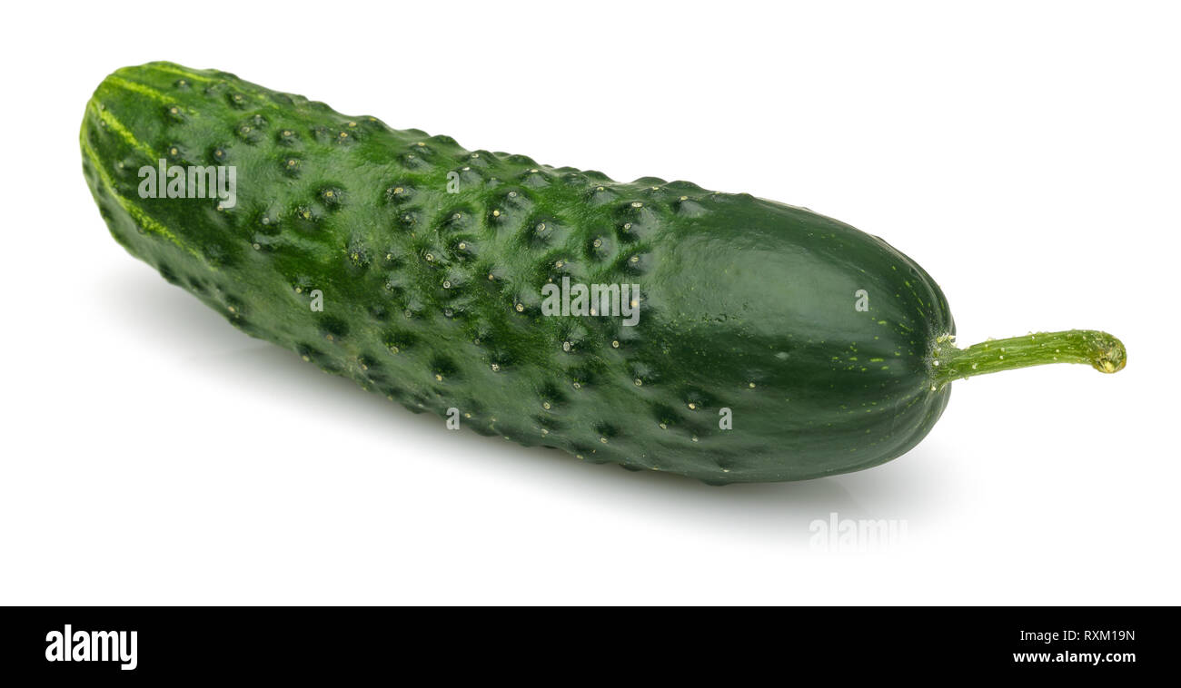 Single fresh cucumber isolated on white background Stock Photo - Alamy