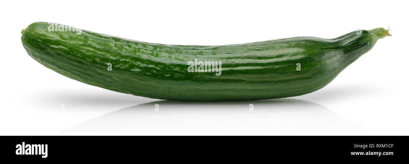Single fresh cucumber isolated on white background Stock Photo - Alamy