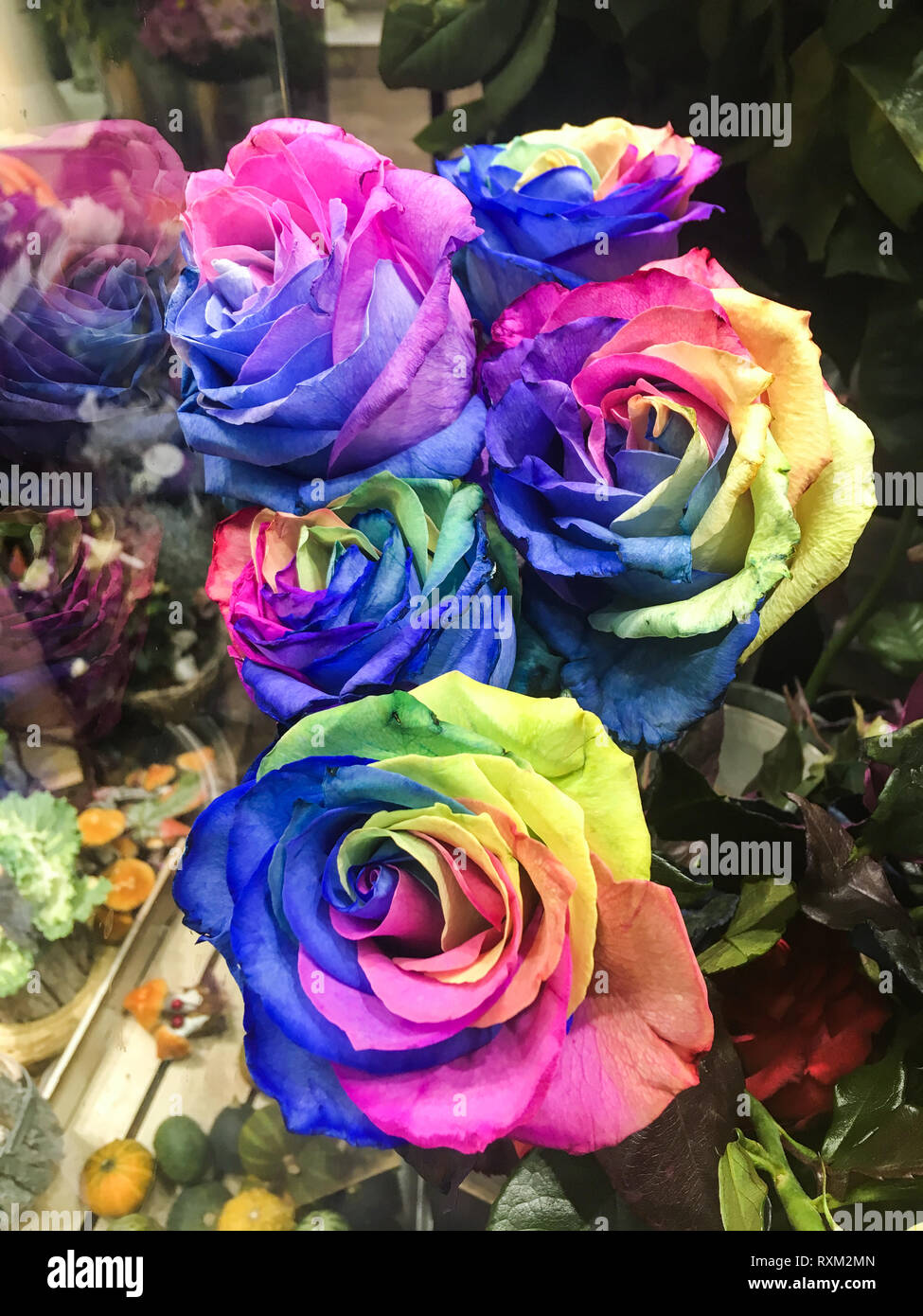 A Picture of a weird bouquet of rainbow colored roses. Some kind of ...