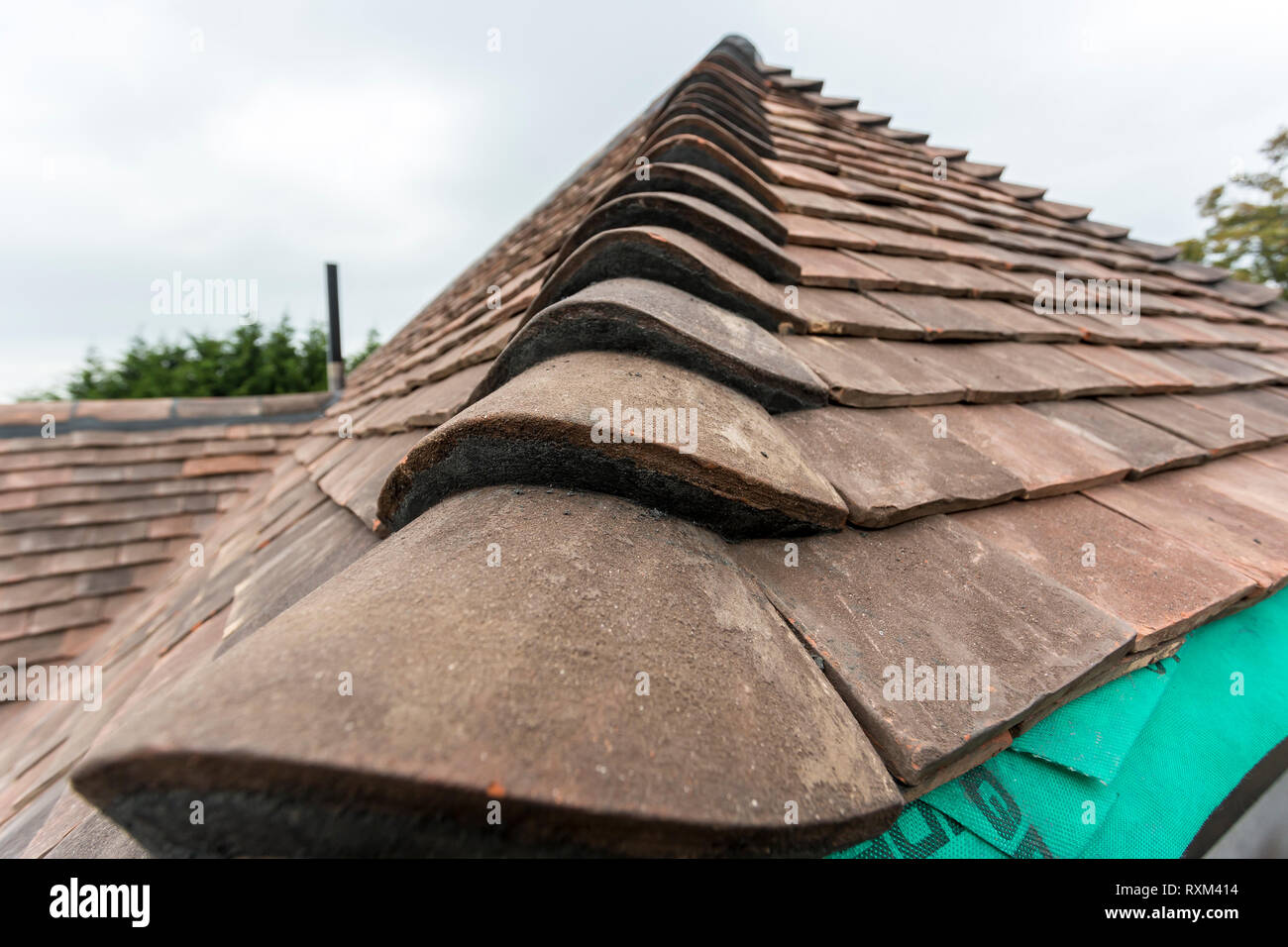 Roofing a new build House Construction Stock Photo - Alamy