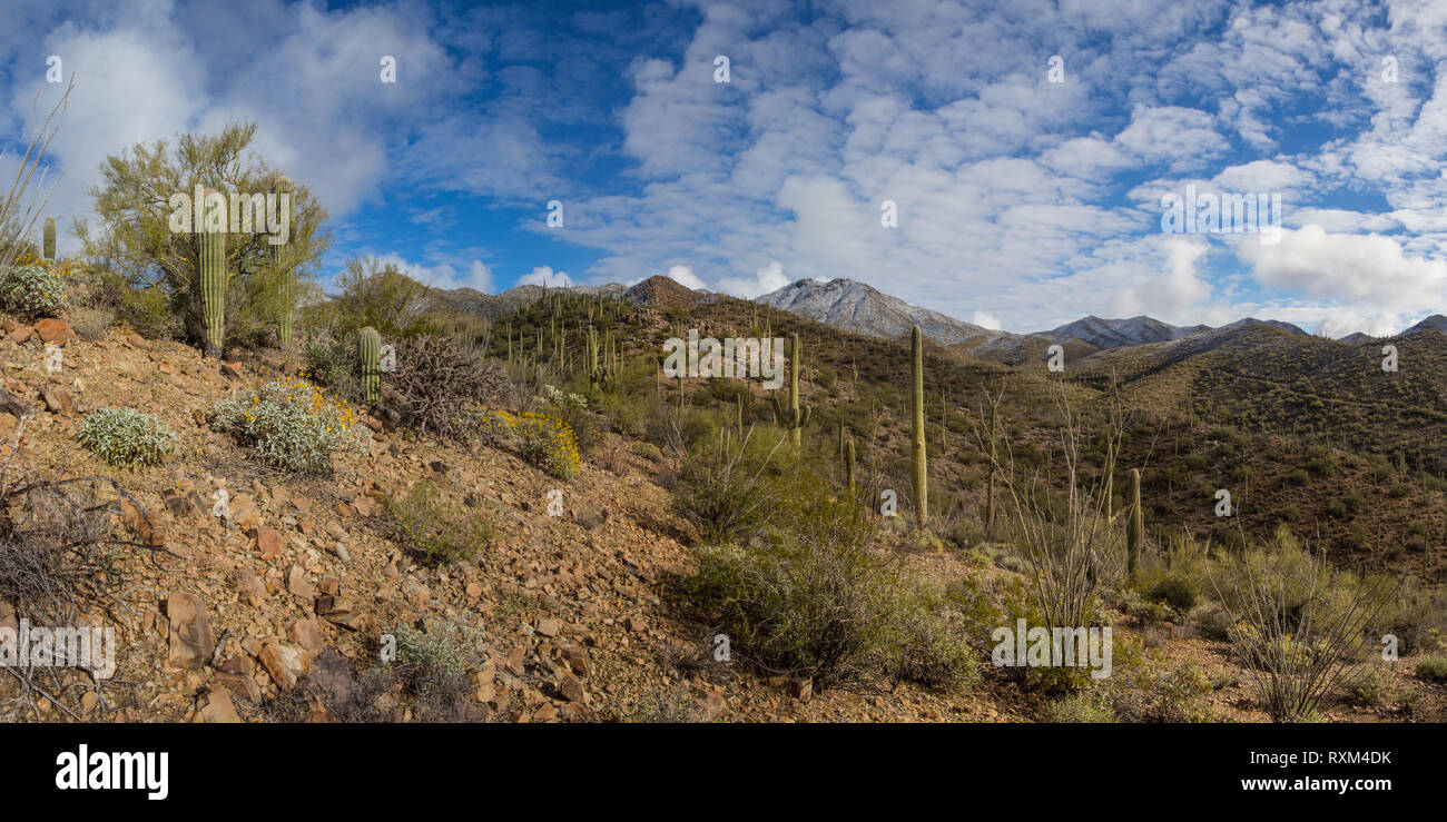 Desert vista with snow in the distance Stock Photo - Alamy