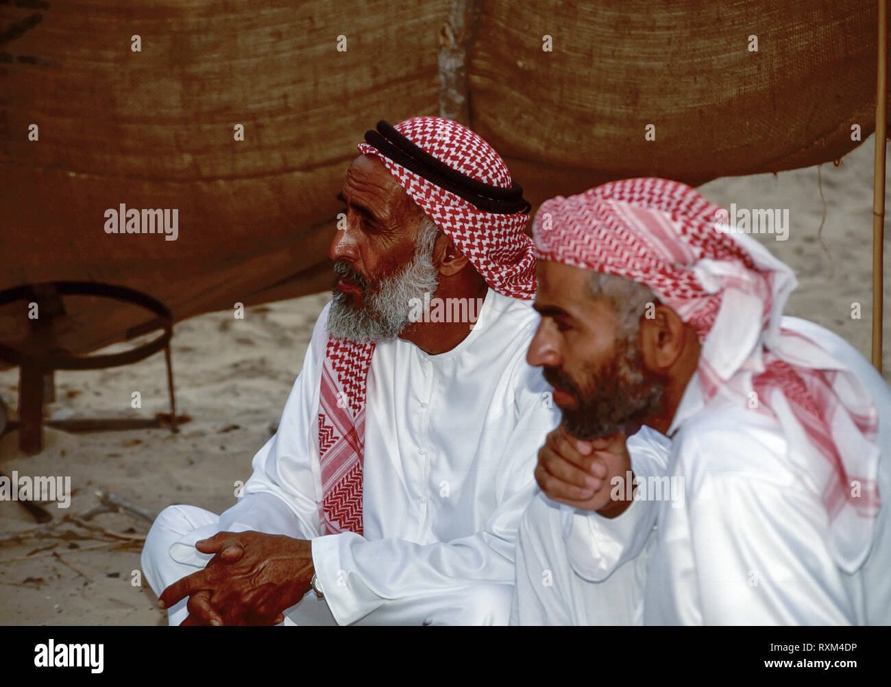 Arab folklore and history with a group of Emirati men taking a break ...