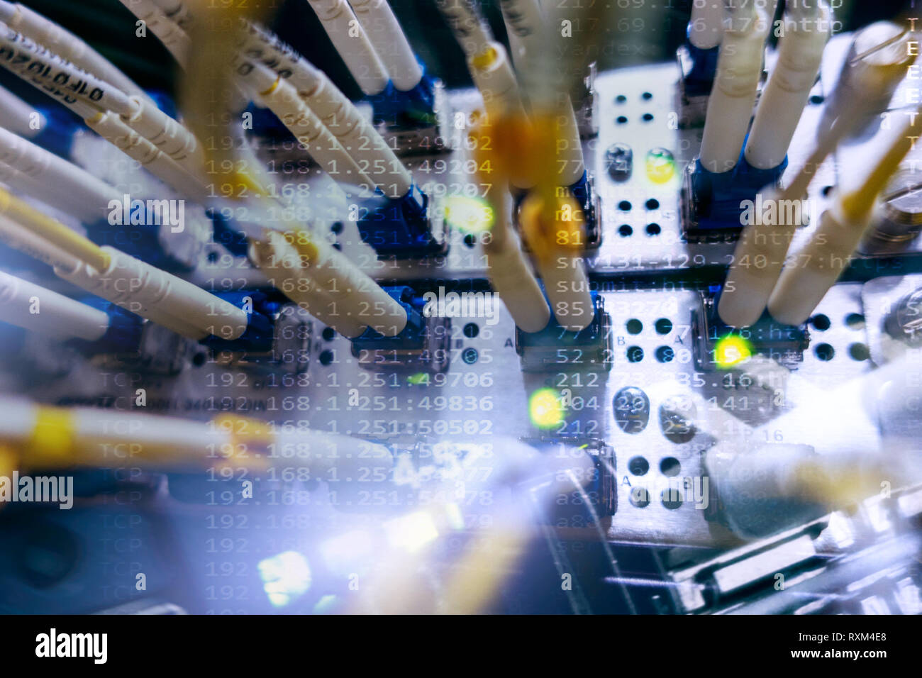 Optical cable close-up. Network devices technology, optical fiber cable ...