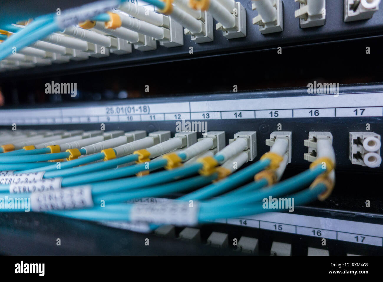 Optical cable close-up. Network devices technology, optical fiber cable ...