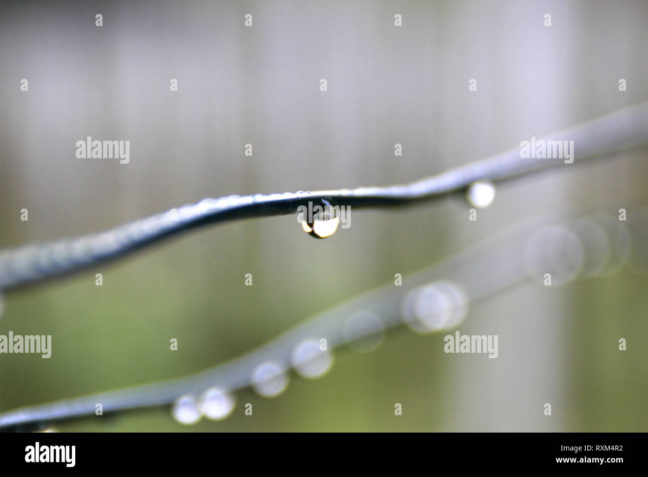 Wassertropfen regentropfen hi-res stock photography and images - Alamy