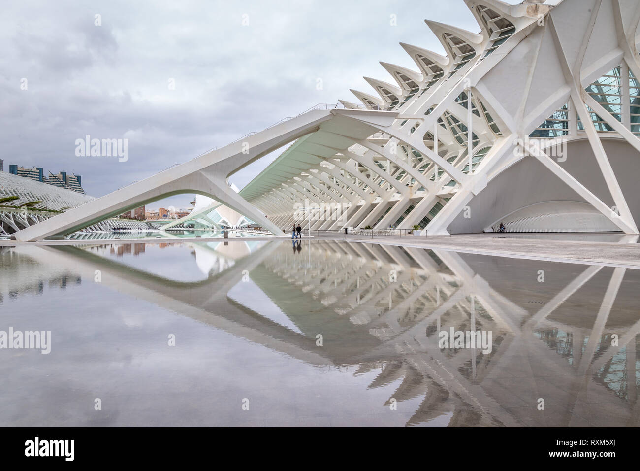 Science Museum in the City of arts and science Valencia in Spain Stock ...