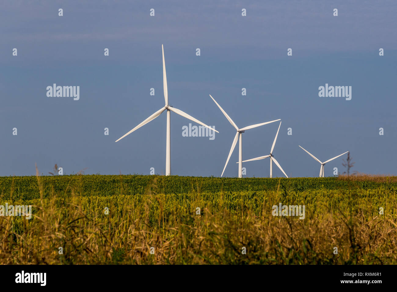 Hot and windy hi-res stock photography and images - Alamy