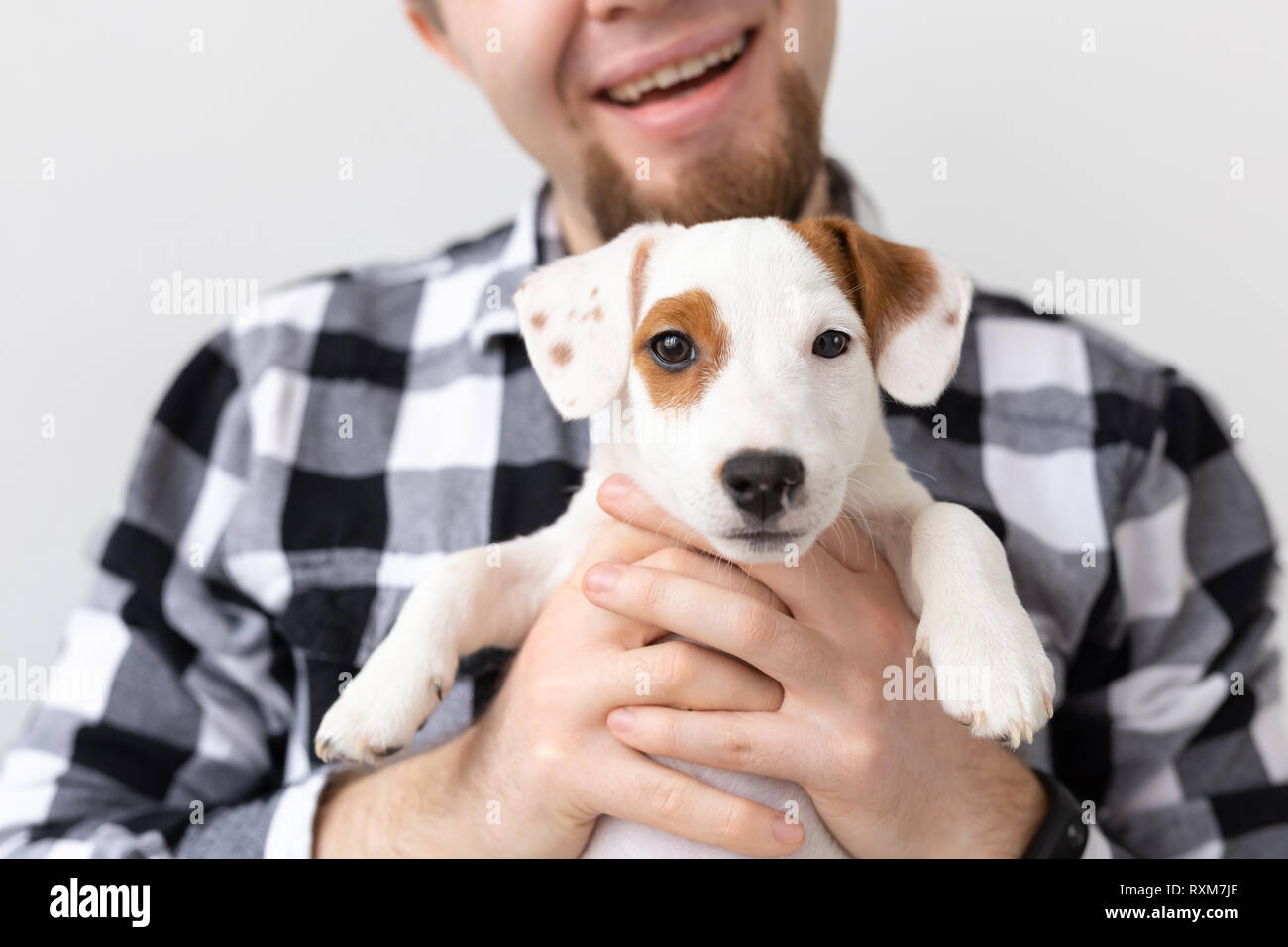 people, pets and animals concept - close up of young man holding jack ...