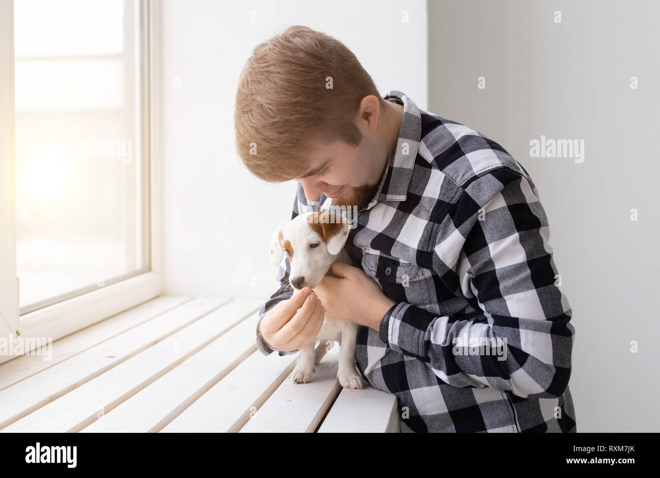 People and pet concept - Happy man holding a dog Jack Russell Terrier ...