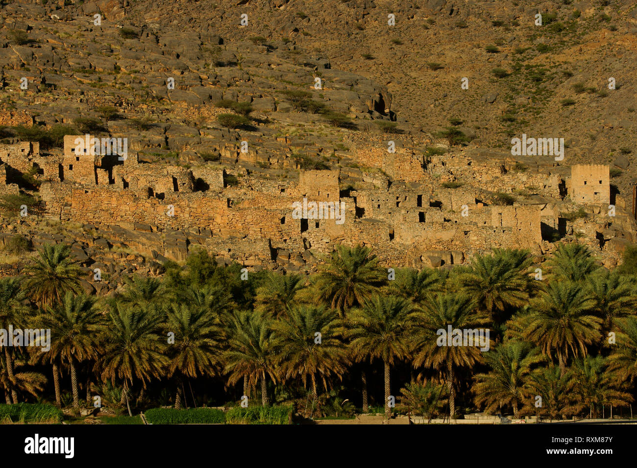 Oasis and kasbah in the Al Hajar Mountains. Oman Stock Photo - Alamy