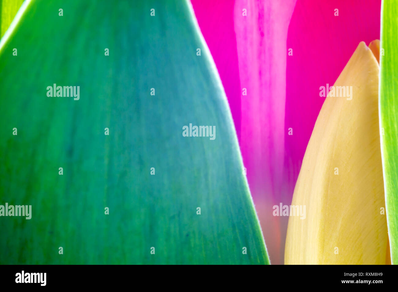 Spring colors hi-res stock photography and images - Alamy