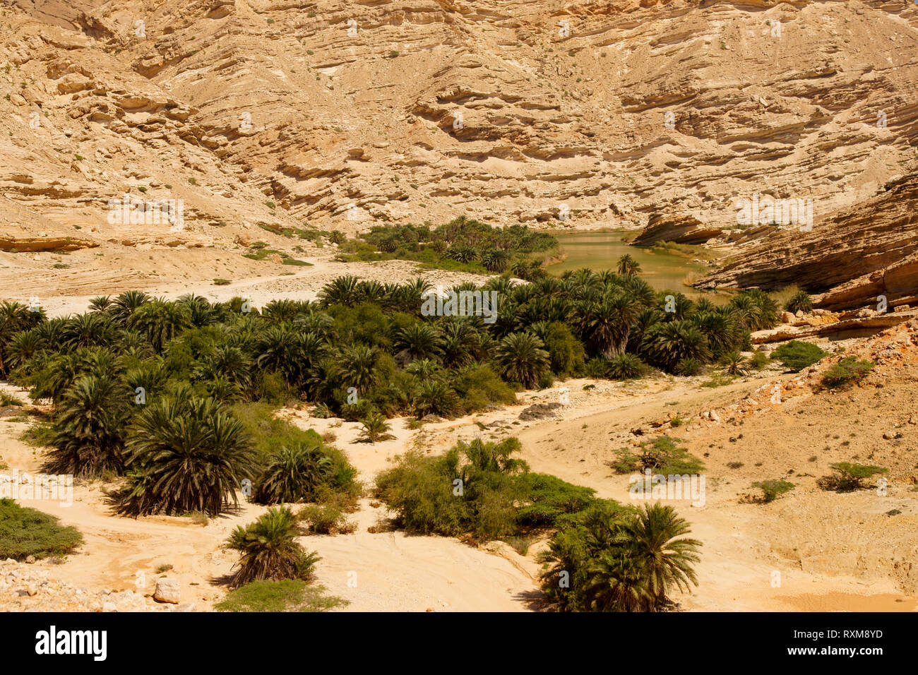 Oasis in the Dhofar mountains. Oman Stock Photo - Alamy