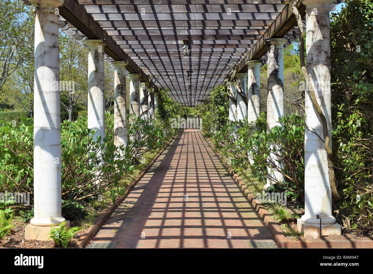 Column Vines Pathway DSBG Stock Photo - Alamy