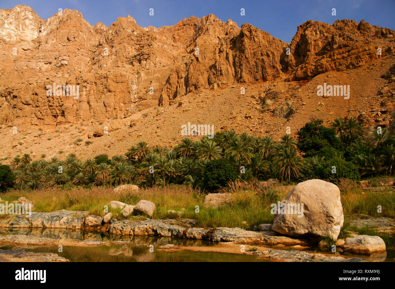 Beautiful river, oasis and the rocky mountains. Landscape of Wadi Tiwi ...