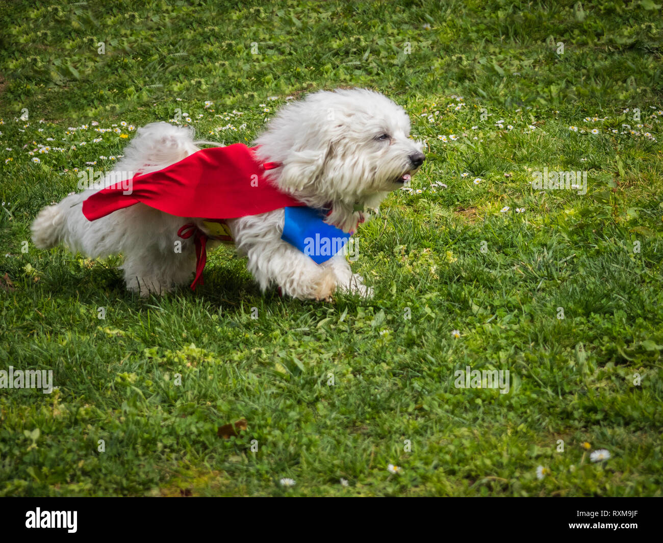 Superhero run hi-res stock photography and images - Alamy