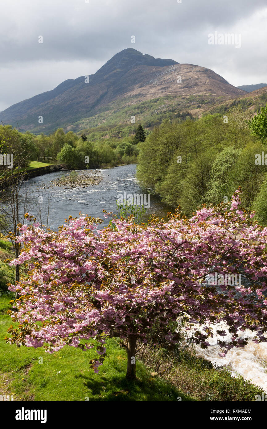 Kinlochleven hi-res stock photography and images - Alamy