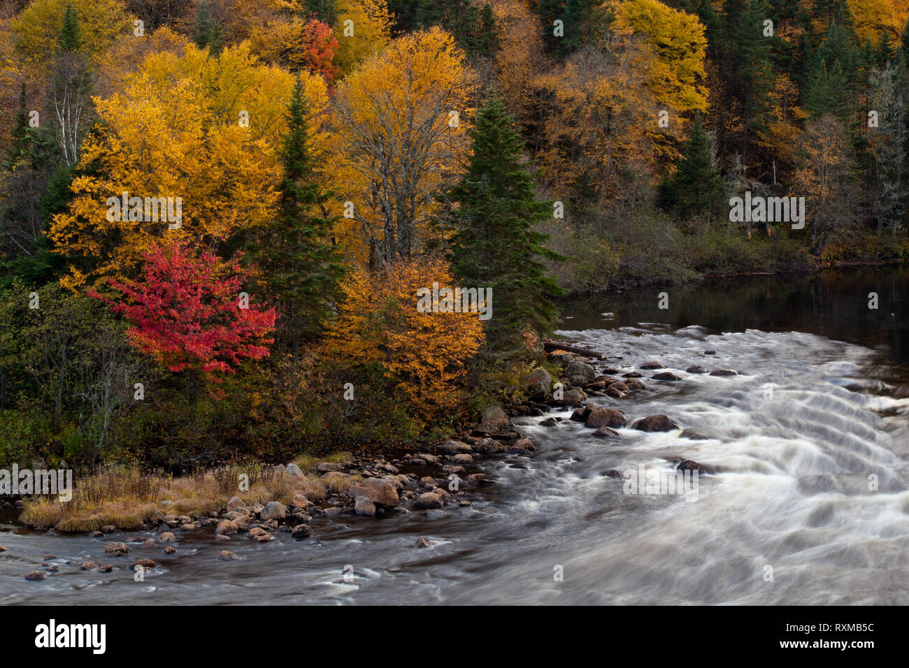 Parc de la Jacques-Cartier, MRC de la Jacques-Cartier, Quebec, Canada ...