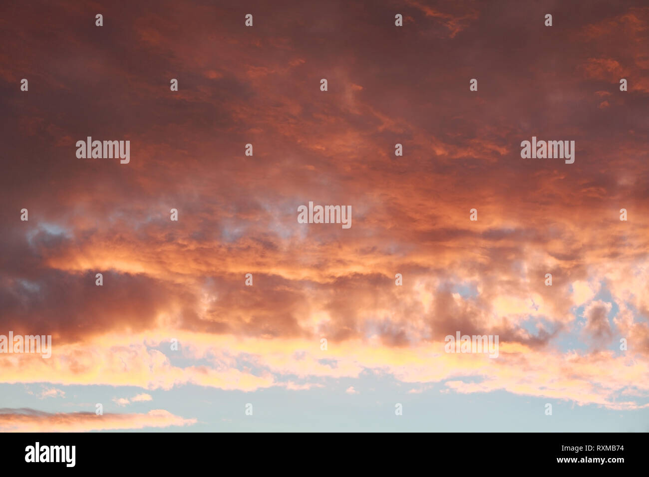 sunset sky at summer Stock Photo - Alamy
