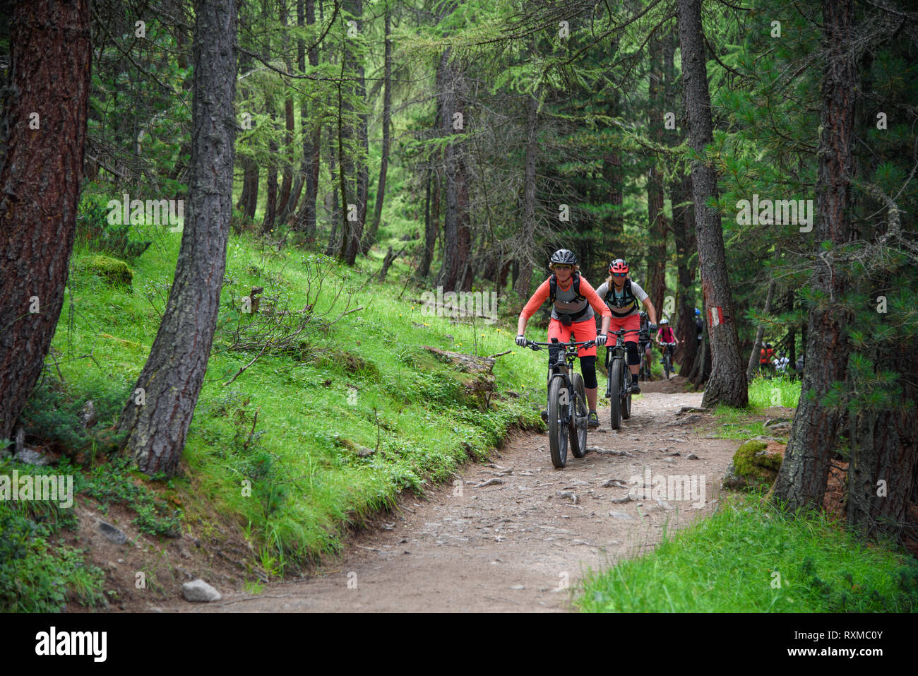 Bike ride through the woods hi-res stock photography and images - Alamy