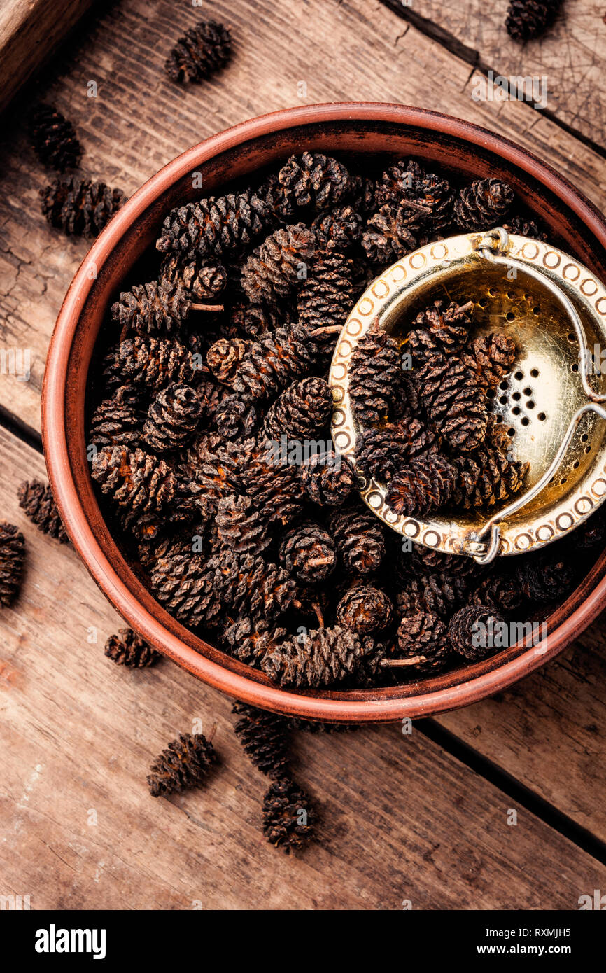 Alder tree disease hi-res stock photography and images - Alamy
