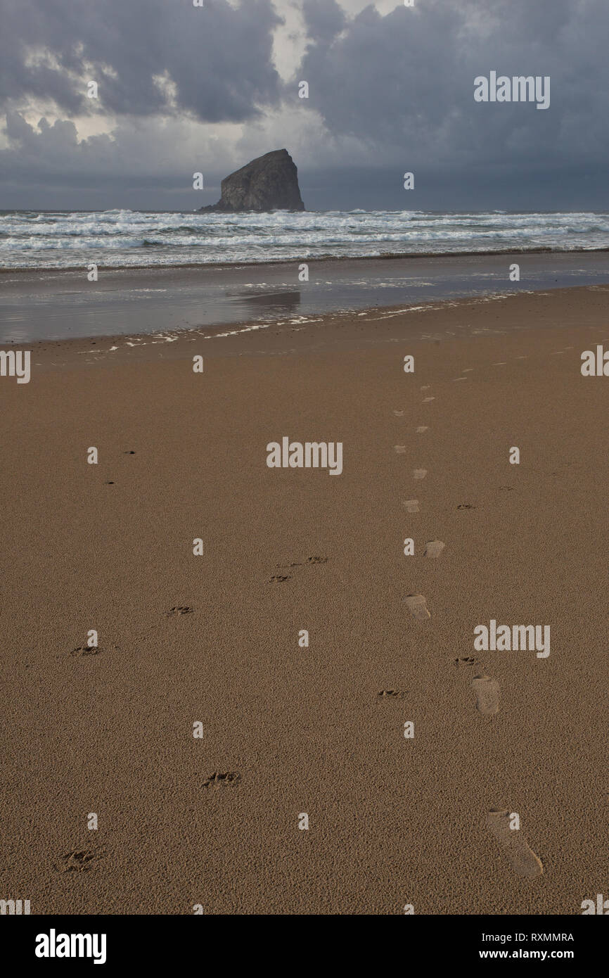 Pacific City, Tillamook County, Oregon, USA Stock Photo - Alamy