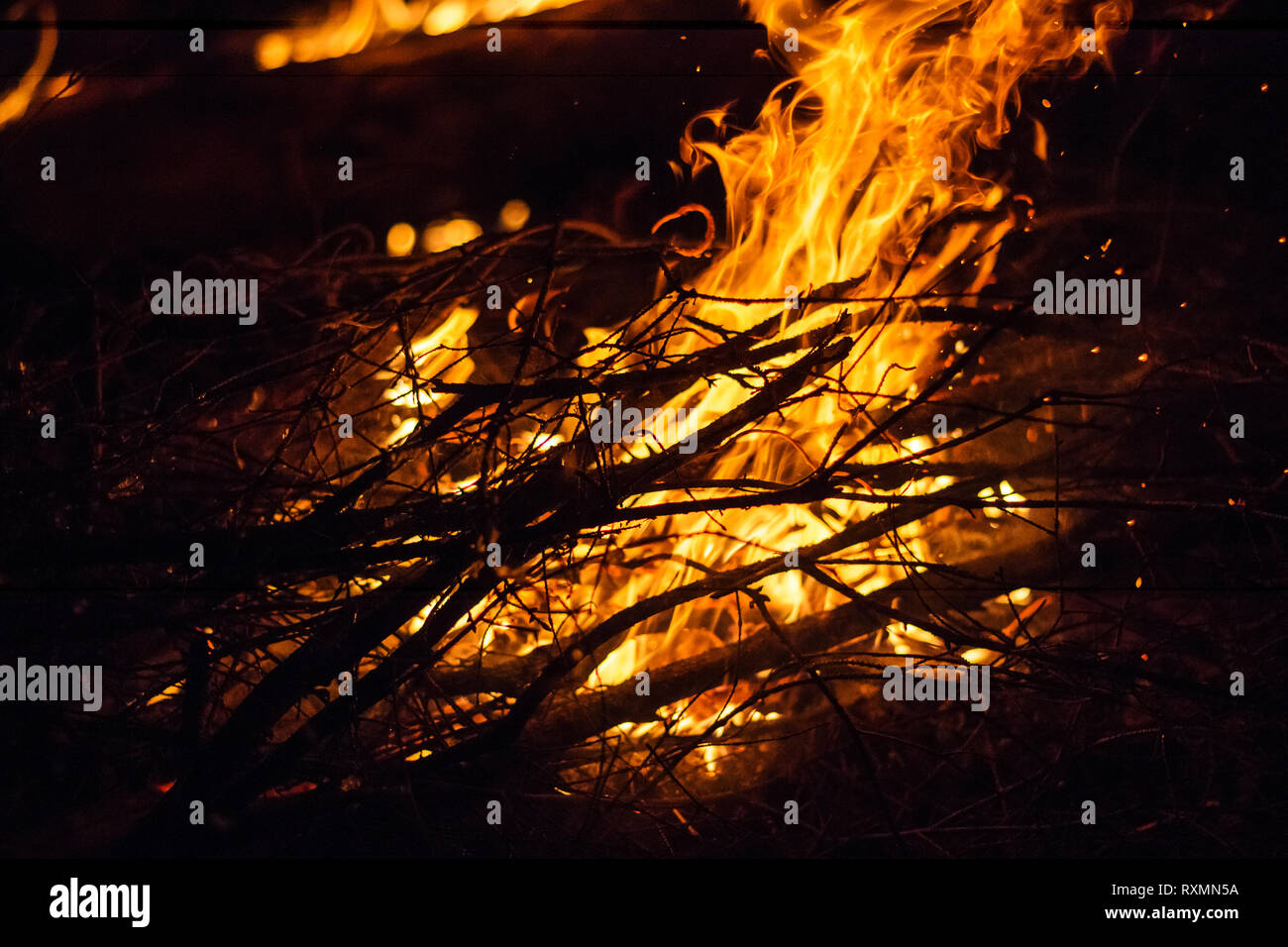 Fire in night. Small branches in the fire Stock Photo - Alamy