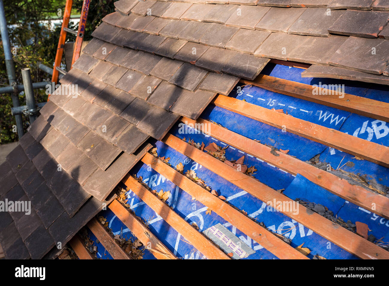 Roofing a new build House Construction Stock Photo - Alamy