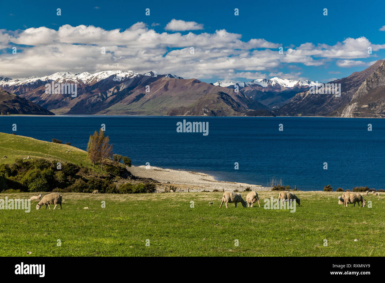 Panoramic vibrant photos of Lake Hawea and mountains, South Island, New ...