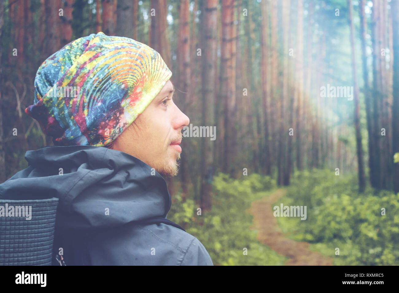 Young Man standing alone in a pine forest with a backpack. Toned photo ...