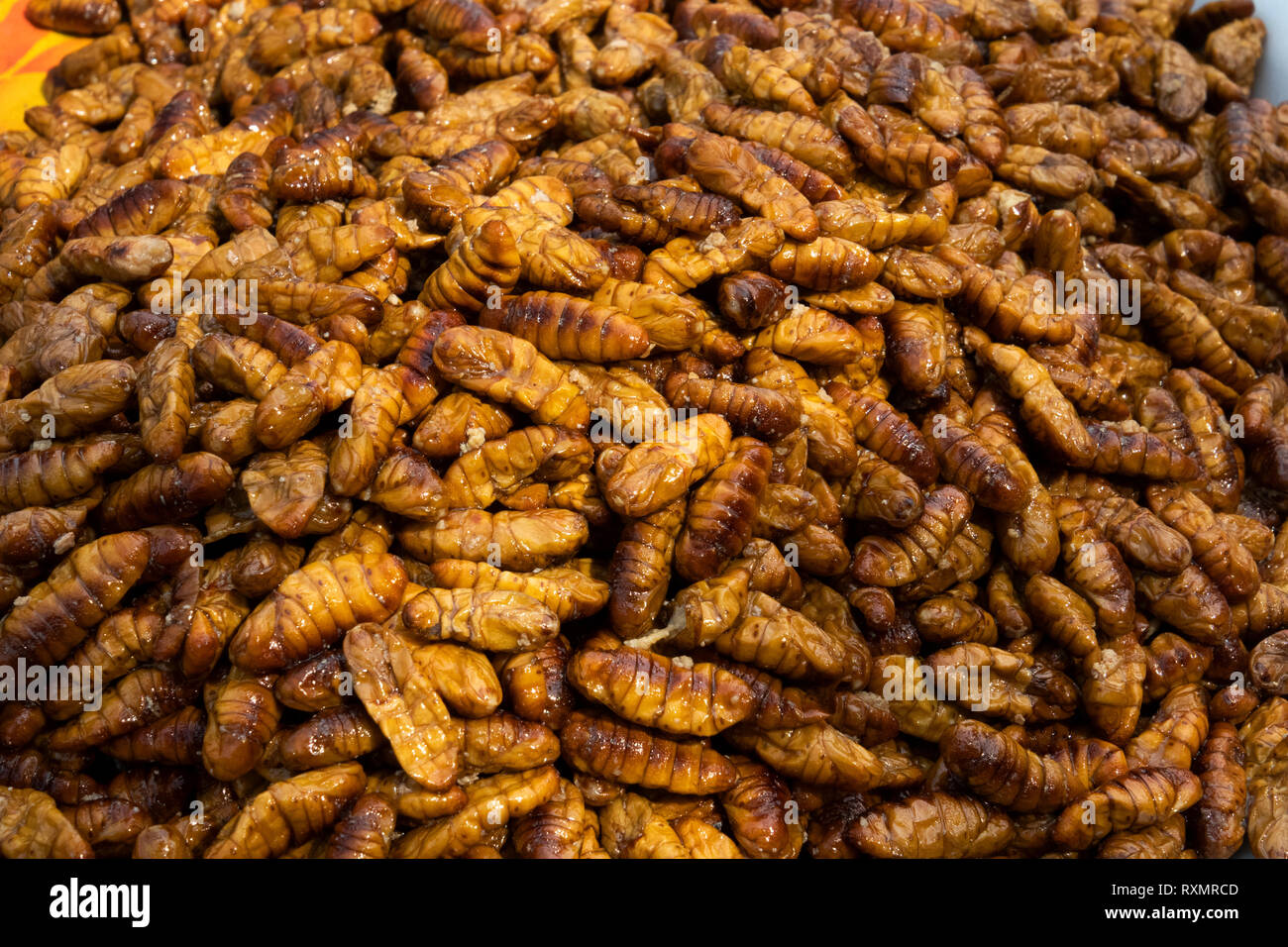 Silkworms hi-res stock photography and images - Alamy