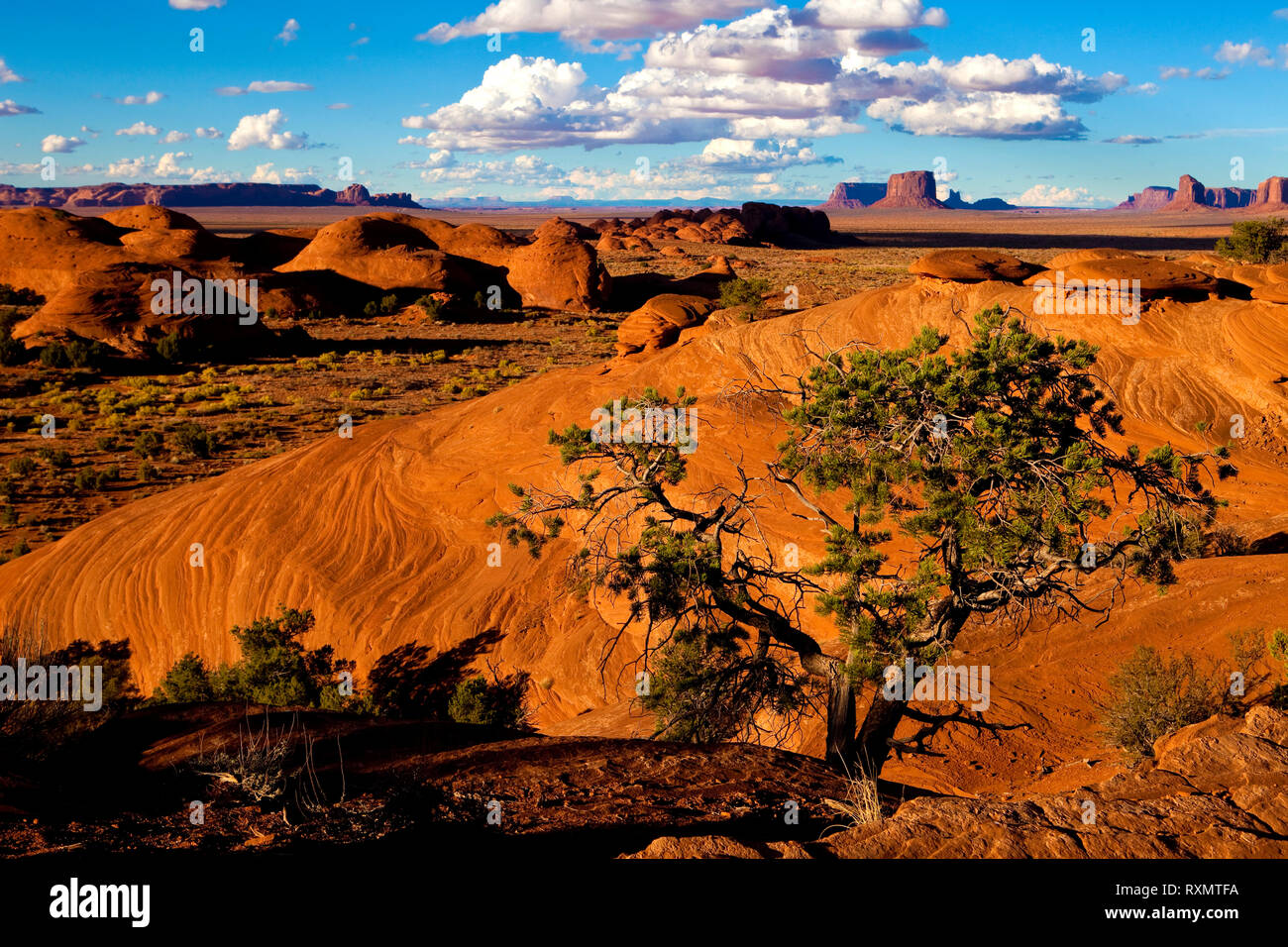 Mystery Valley, Utah (Monument Valley Stock Photo - Alamy