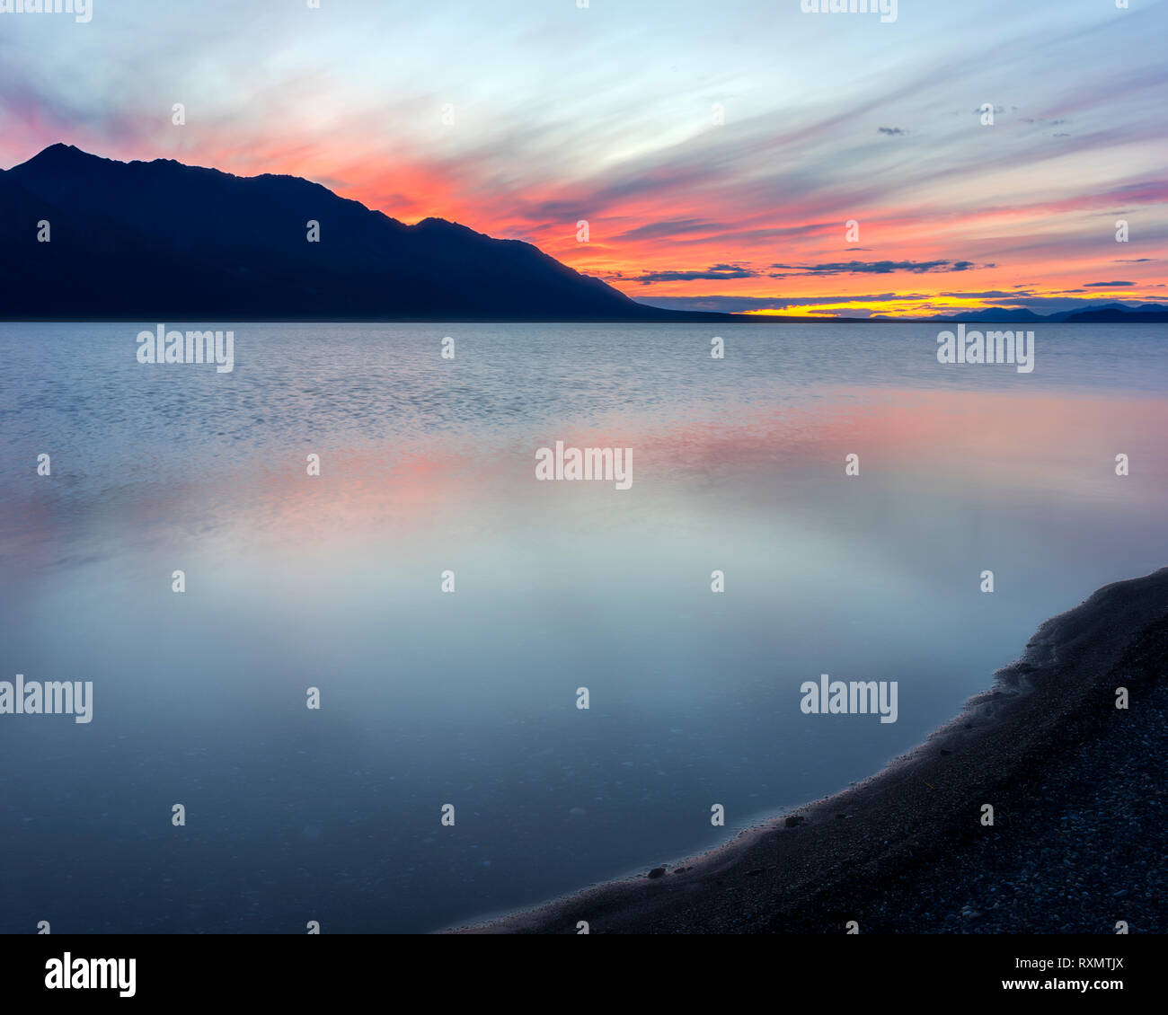 Kluane lake sheep hi-res stock photography and images - Alamy