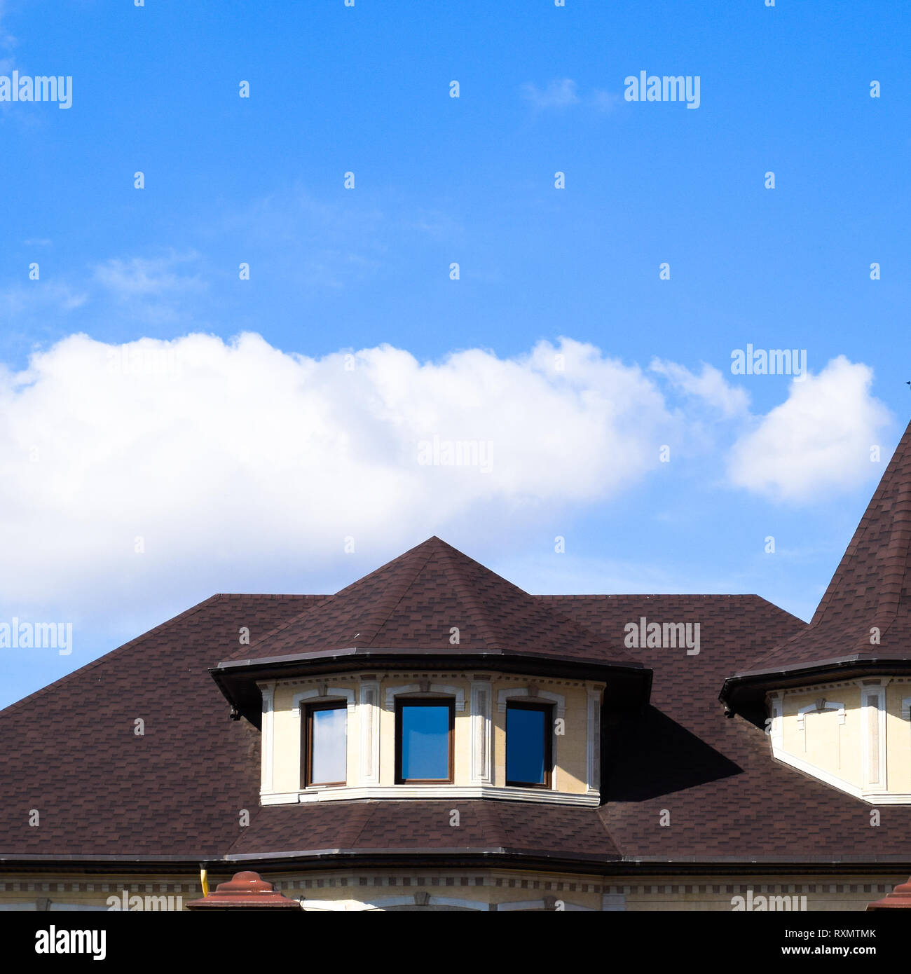 Decorative metal tile on a roof. Types of a roof of roofs. Decorative ...