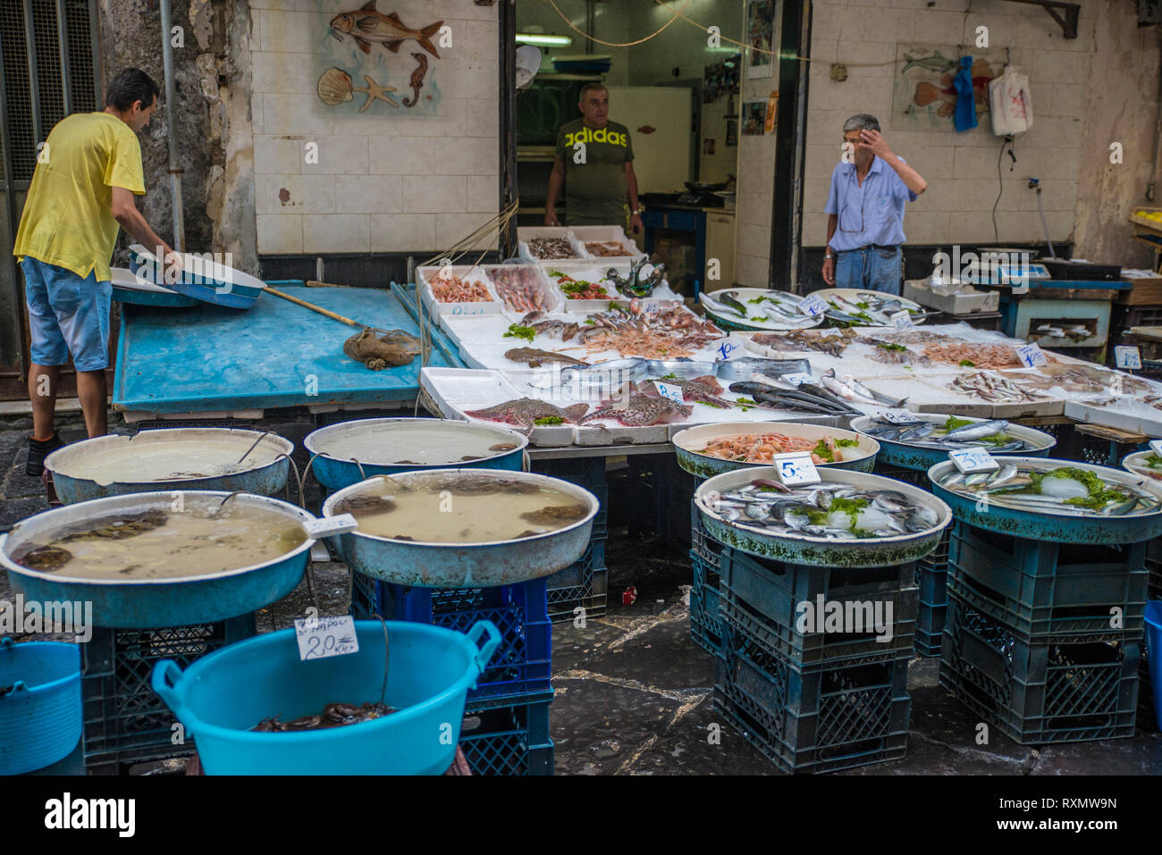 Naples, Italy - August 15, 2015 : Insight on fish market of Naples ...