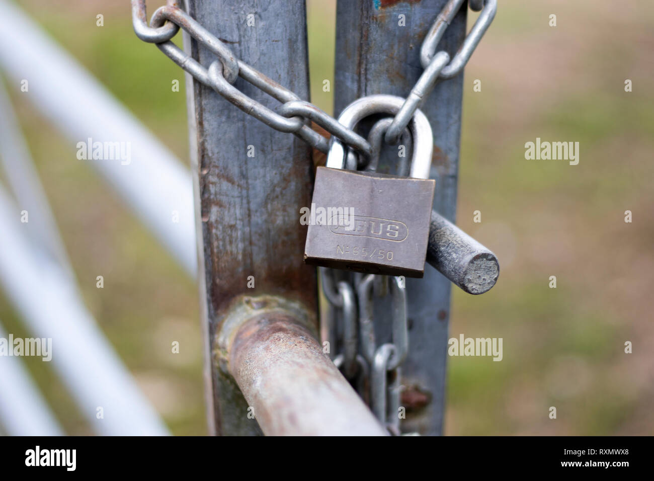 Locked metal framed farm gate to farmland field in rural Hampshire with ...