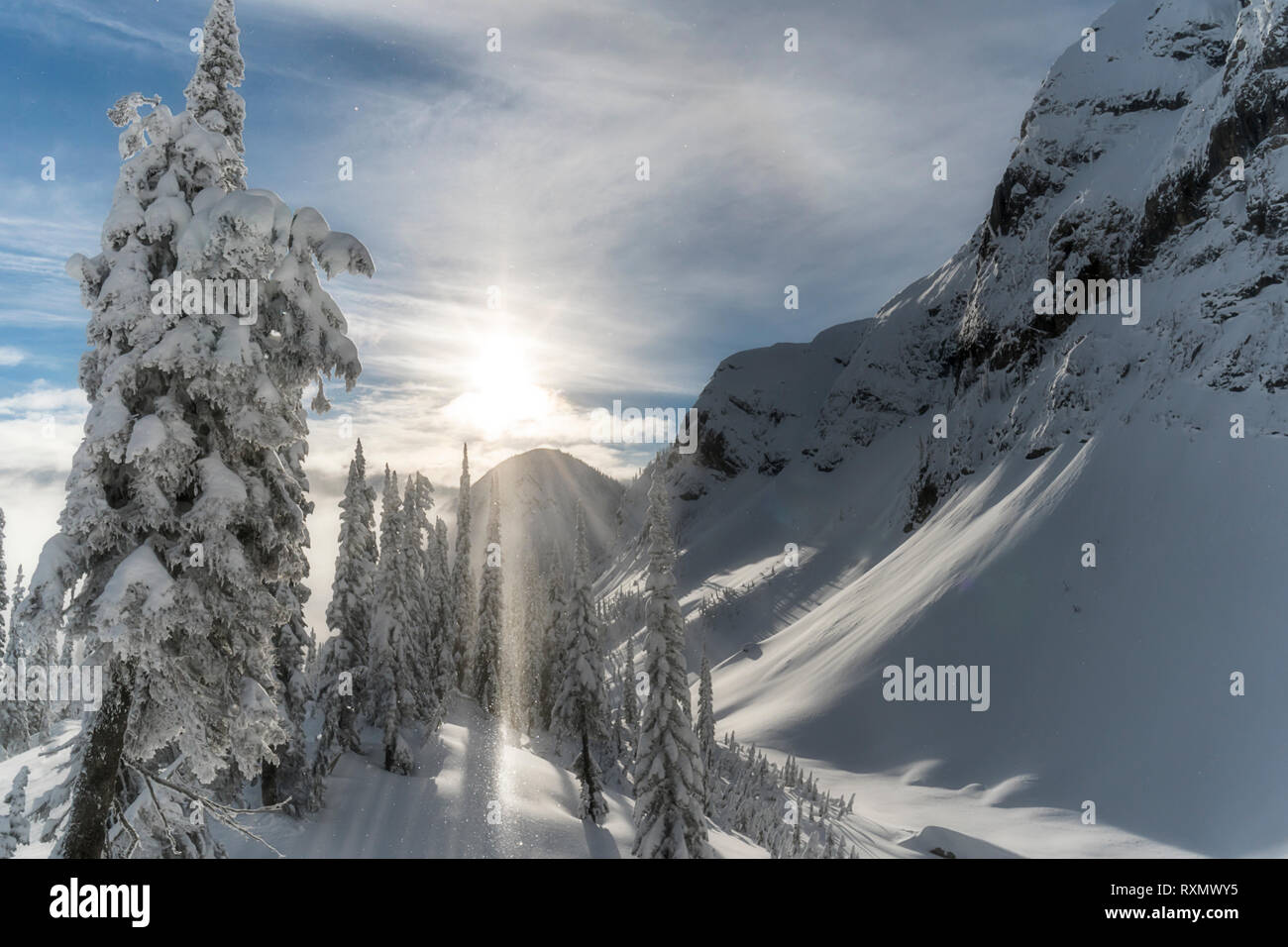 A bluebird powder day at Fernie Alpine Resort, Fernie, British Columbia ...