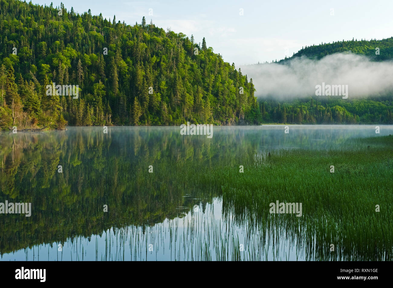 northern lake near Lake Superior, Ontario, Canada Stock Photo - Alamy
