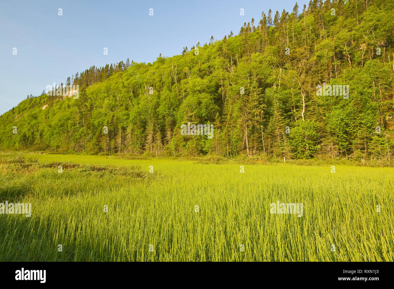 Marsh lakes hi-res stock photography and images - Alamy