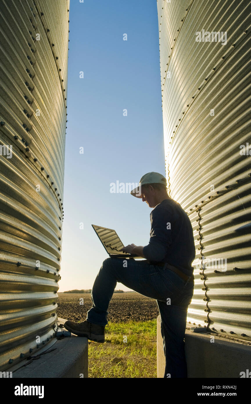 a farmer using a computer next to his grain storage bins near Dugald ...