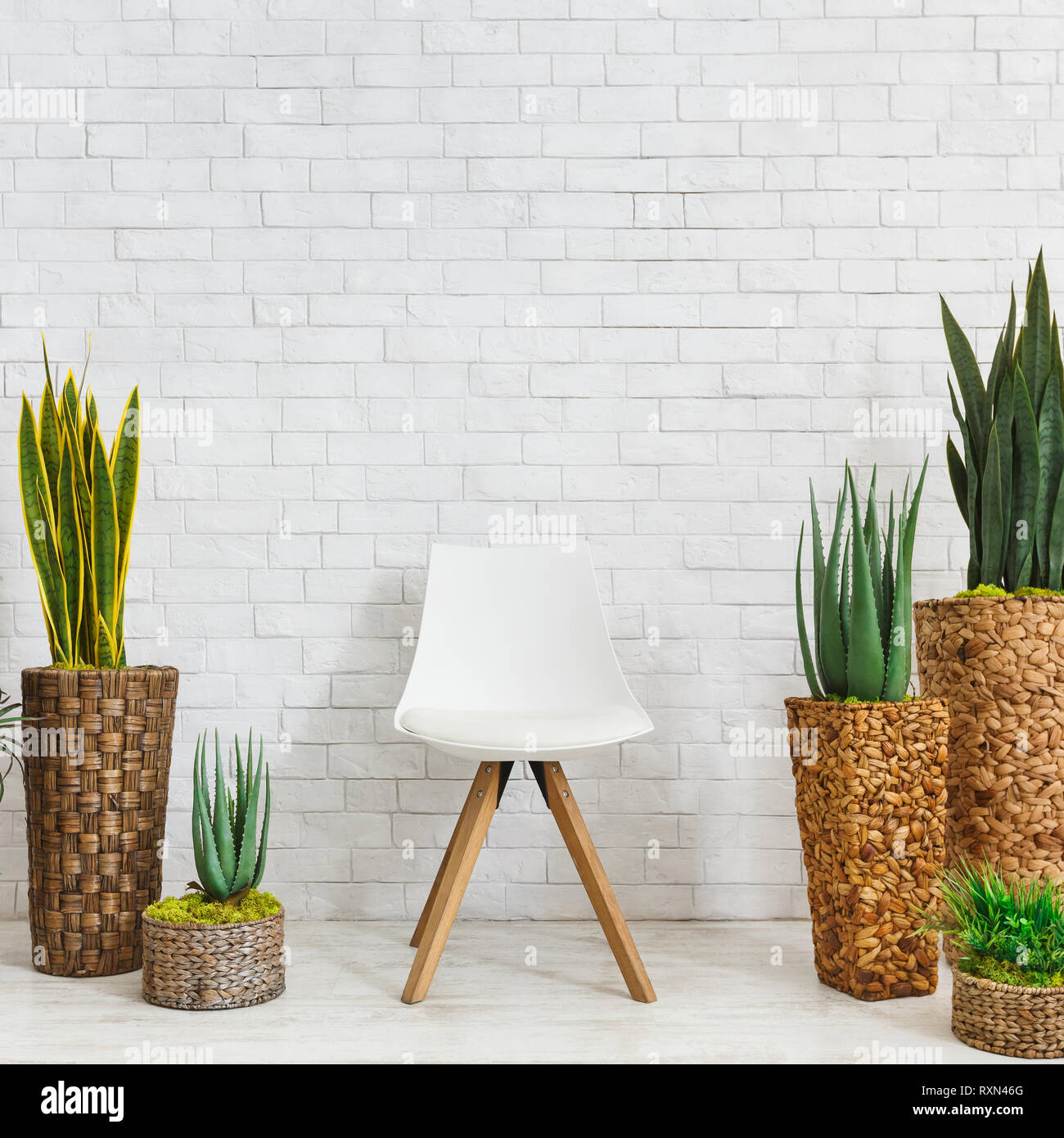 Botanical home decoration concept Stock Photo - Alamy