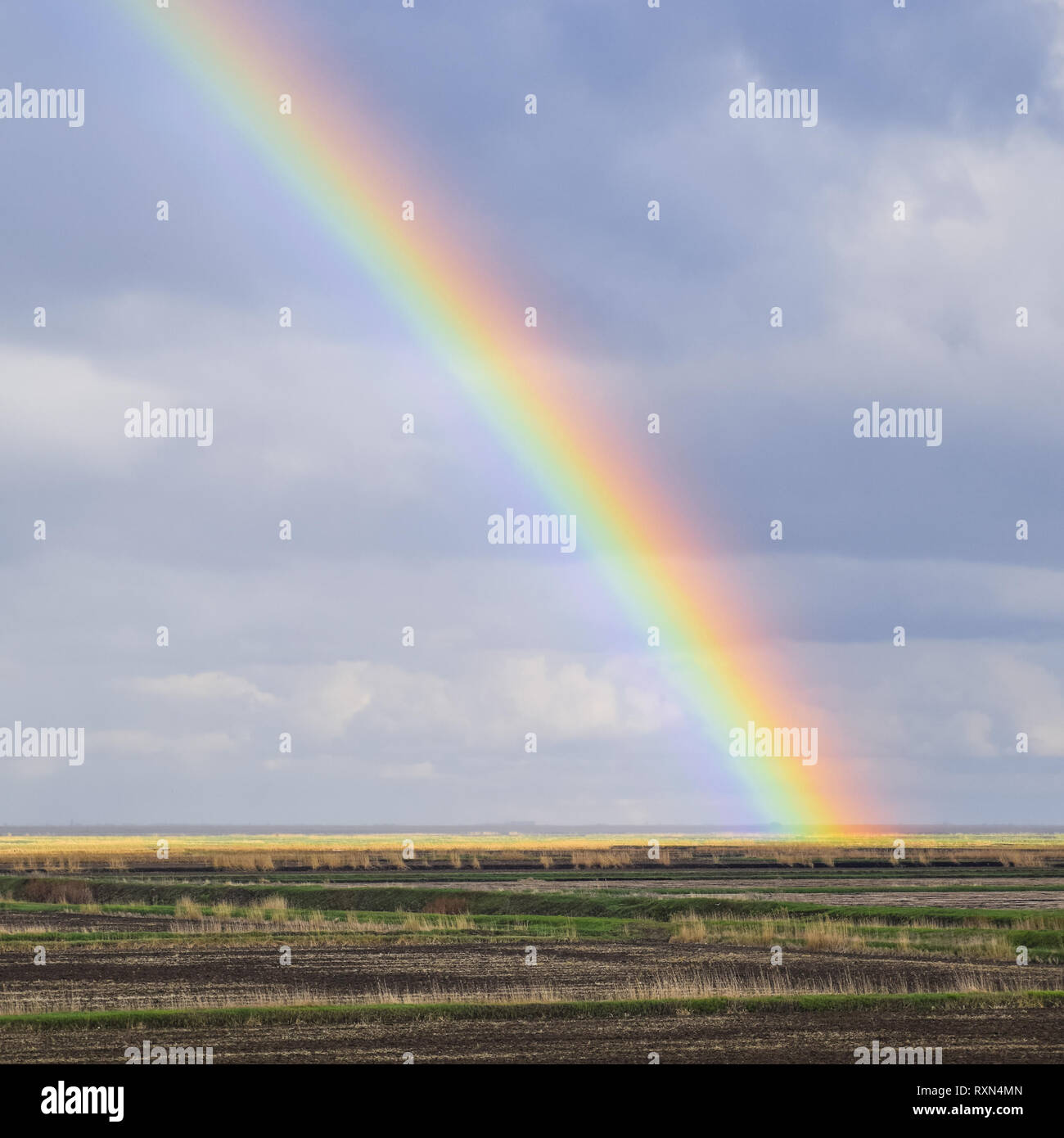 Rainbow, a view of the landscape in the field. Formation of the rainbow ...