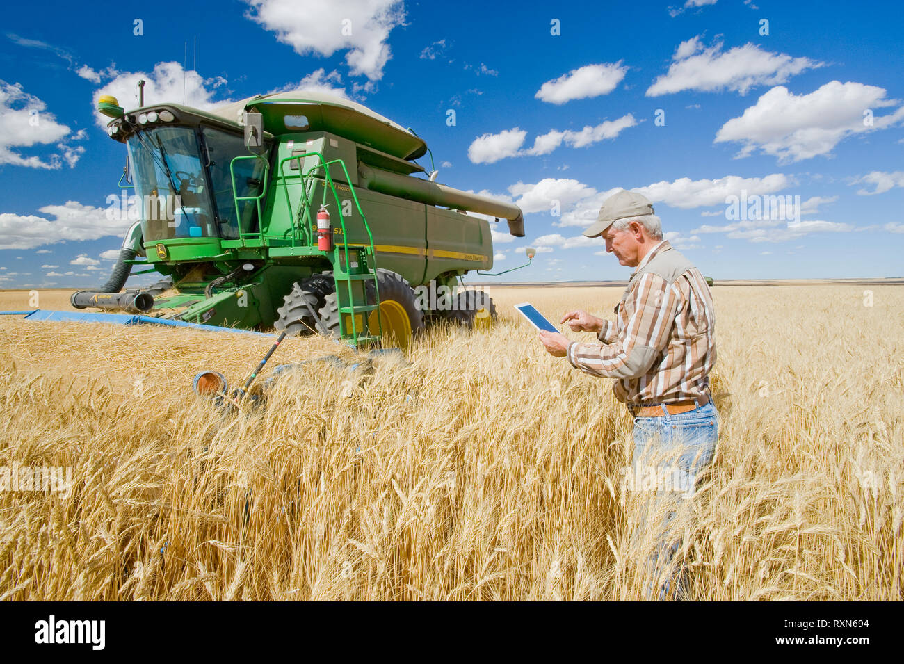 farmer using a tablet in front of his combine harvester during the ...